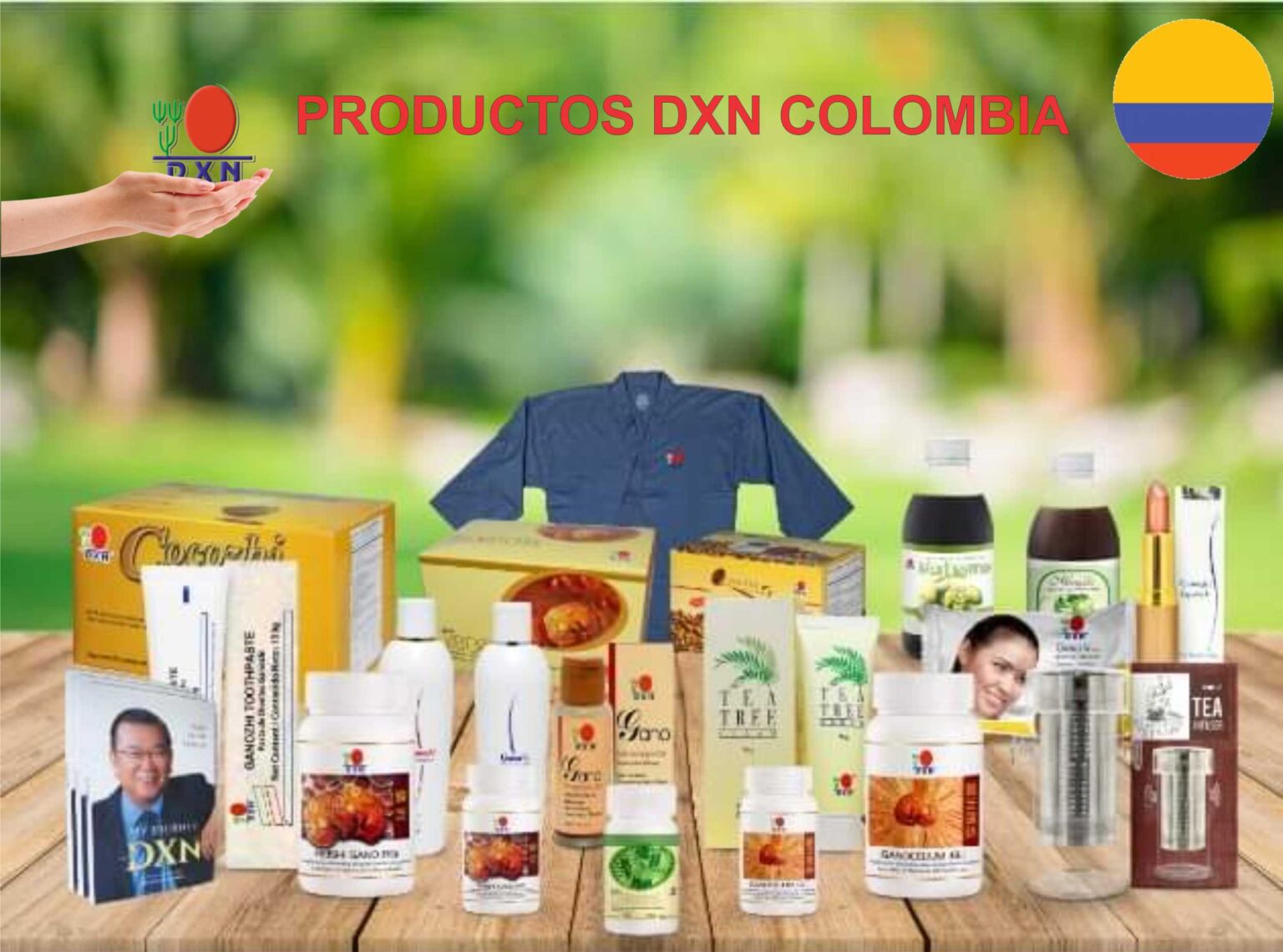 PRODUCTOS DXN - Negocio DXN